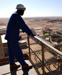 Download Niger's Mining Code