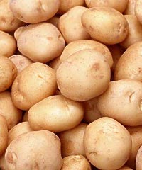 TURNER: Robust equipment for Africa’s potato industry