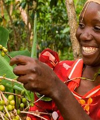 Fairtrade Africa: moving towards intra-African trade