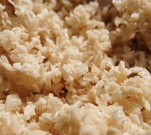 South African company finds economic value in flies and maggots