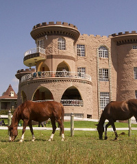 The businessman who built a castle in rural Kenya