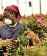 Equator Flowers Archives - How we made it in Africa