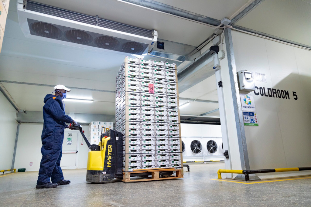 Crop storage and cold-chain solutions in Africa hold significant ...