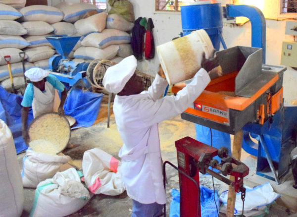 Innovative model incentivises Tanzanian small-scale millers to add ...