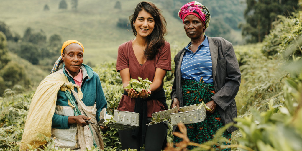 Tanzania: How this company built a premium tea brand that is exported ...