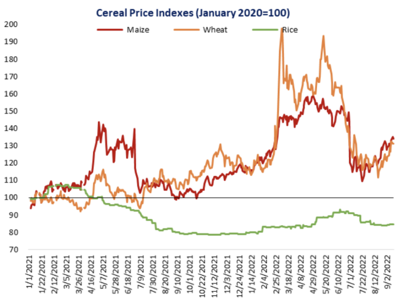High fuel and fertiliser costs contributing to food inflation in Africa