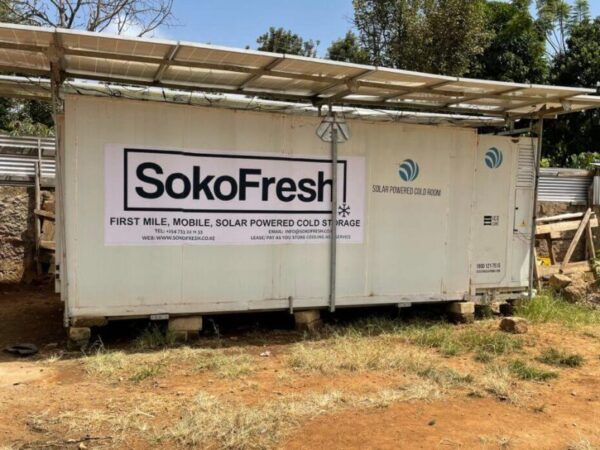 Cold storage for African farmers: Entrepreneurs see big potential